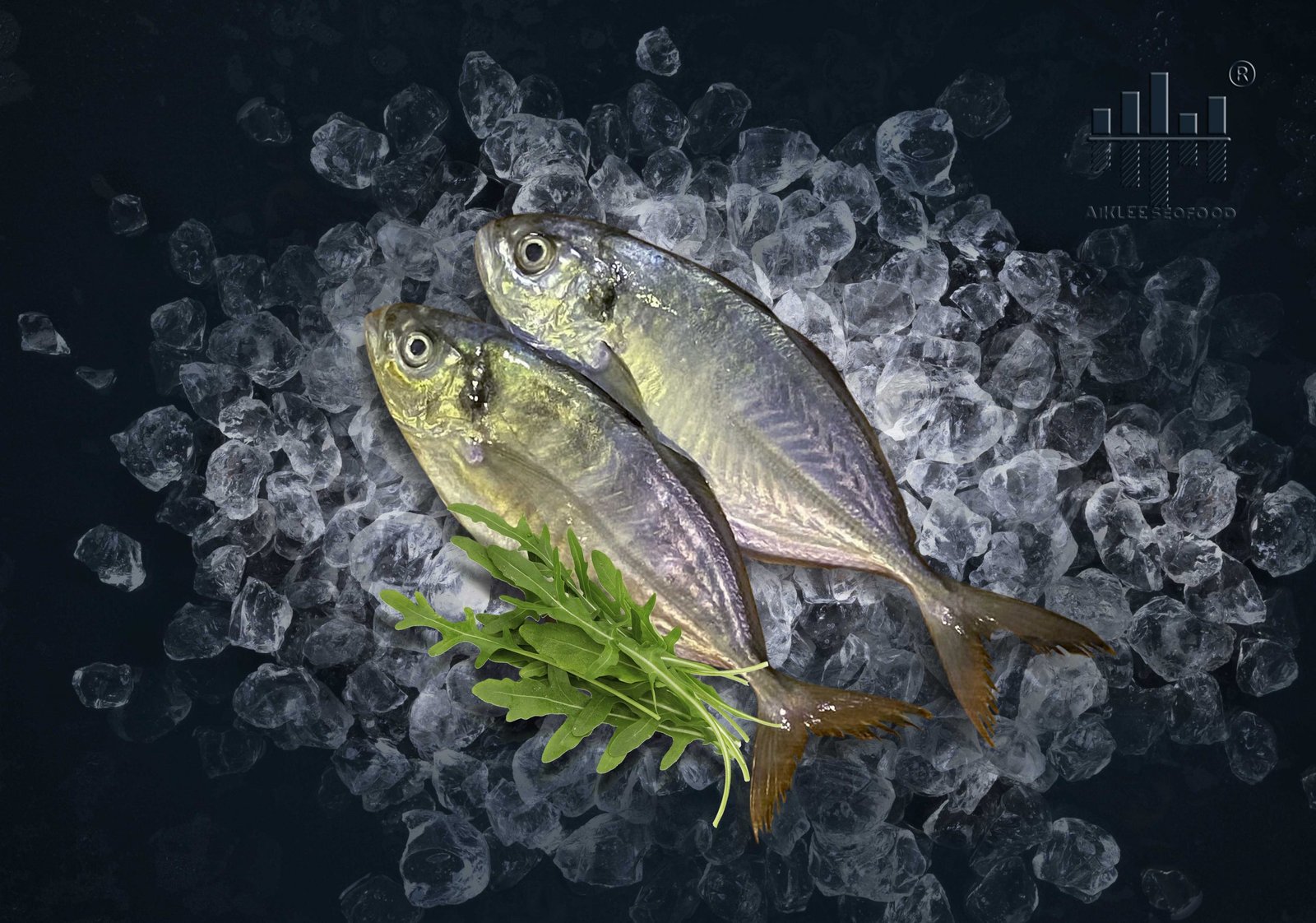 [AIKLEE] FRESH Bentong/Boon Tong Fish 文东鱼 (1kg) per pack [SEAFOOD] ⋆ ...